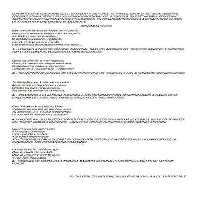 Transmision de bandera | DOCX