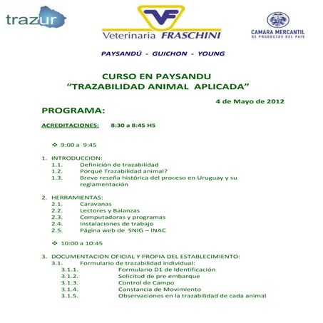 Programa Curso Paysandu | PDF
