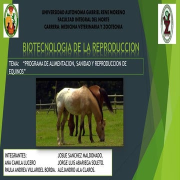 Programa de alimentación, sanidad y reproducción en equinos | PPTX