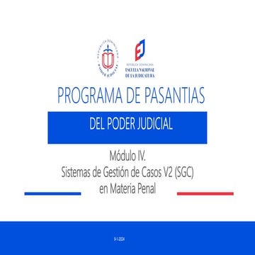 FI-001 Sistemas de Gestión de Casos (Penal), Back Office, Supremo Plus ...