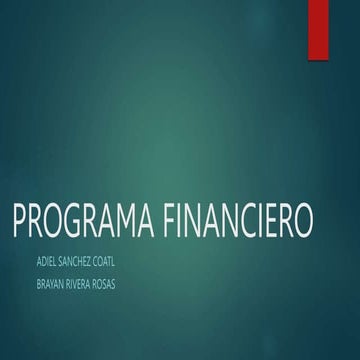 PROGRAMA FINANCIERO.pptx