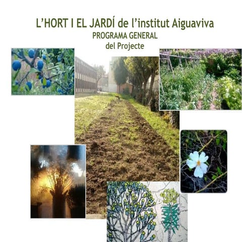Programa general projecte hort i jardi | PPT