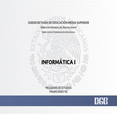 Programa informatica.pdf