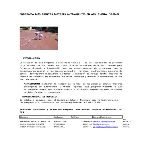 Programa mas adultos mayores autovalentes en aps quinta normal | DOC