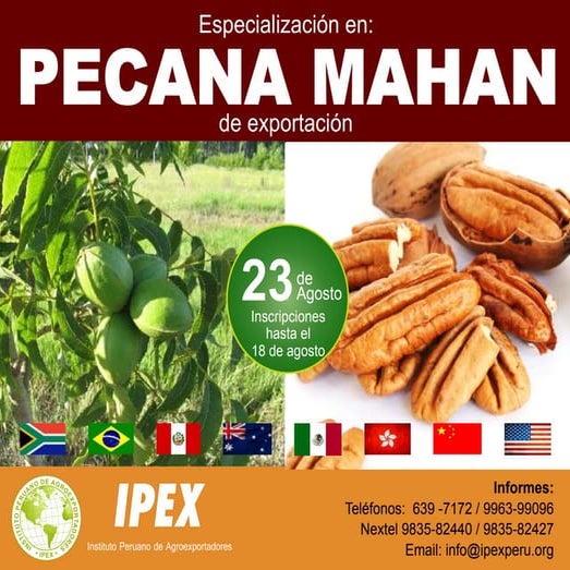 Curso de Especialización en Pecana Mahan | PDF