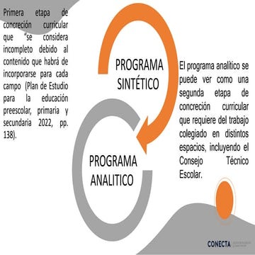 programa sintetico.pptx