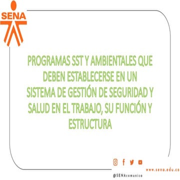 PROGRAMAS SST Y AMBIENTALES.pdf
