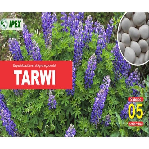 Programa tarwi | PDF