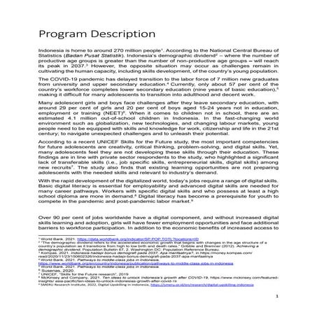 Program Description-Unicef.docx