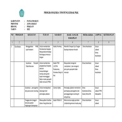 PROGRAM KERJA POKJA IV.docx