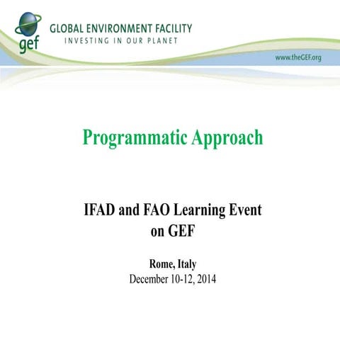 Programmatic approach | PPTX