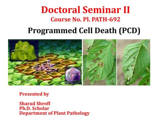 Programmed cell death | PPT