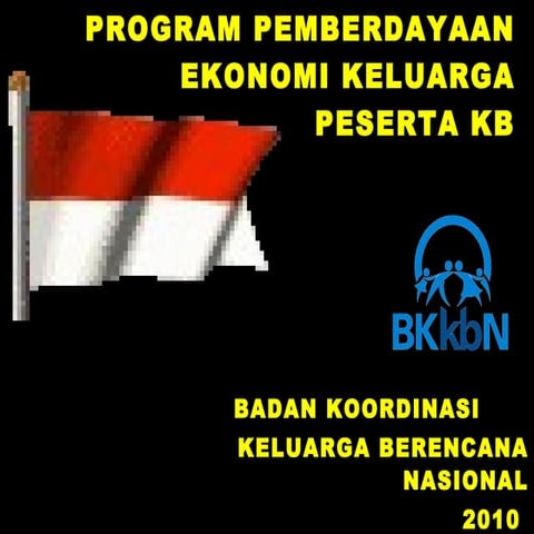 Panduan-Pelaksanaan-Pendampingan-Keluarga_BKKBN.pdf