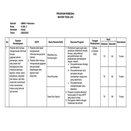 PROGRAM REMEDIAL.docx