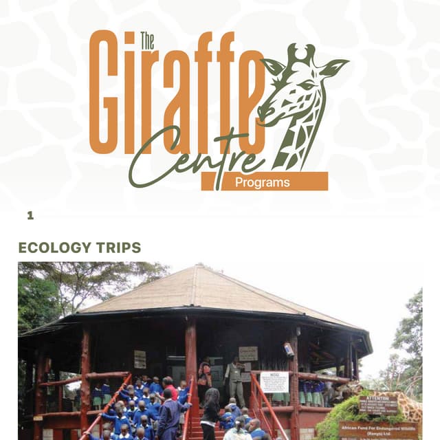 Giraffe Centre's Methodology to shaping the Environmental Conservation ...