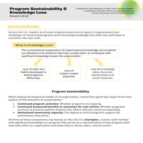 Program sustainability brief.pdf