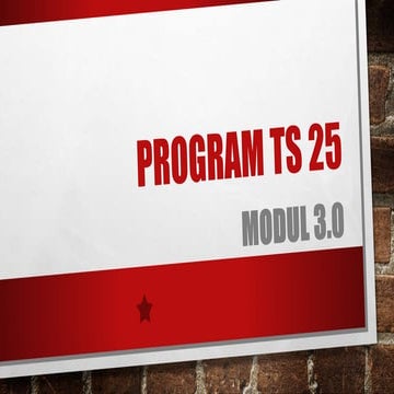 PROGRAM TS 25.pptx