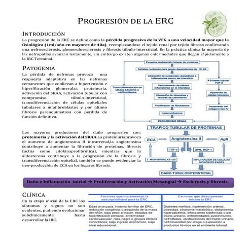 Progresión Enfermedad Renal Crónica (ERC) | DOCX