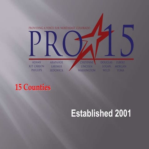 Pro 15 - A Voice for Northeast Colorado | PPTX