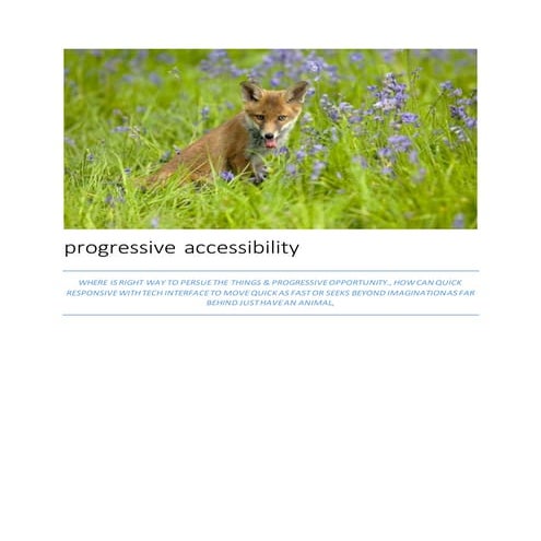 progressive accessibility .pdf