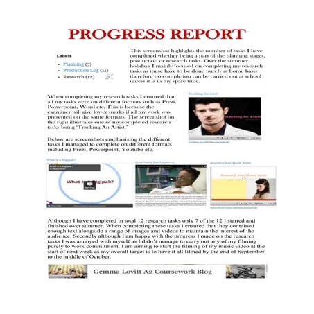 Progress report | PDF