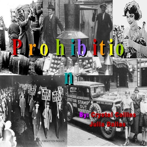 Prohibition Fin | PPT