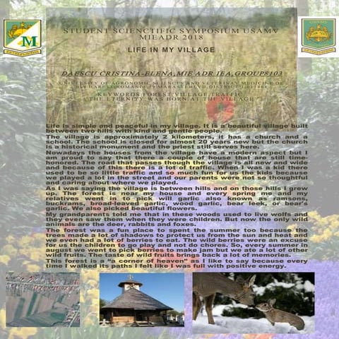 Satul horasti eng | PPTX