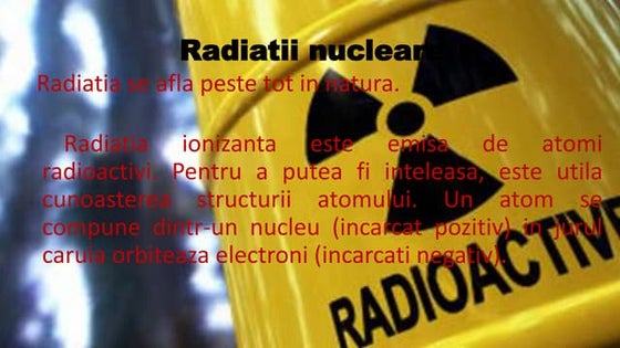 Curriculum vitae | PDF