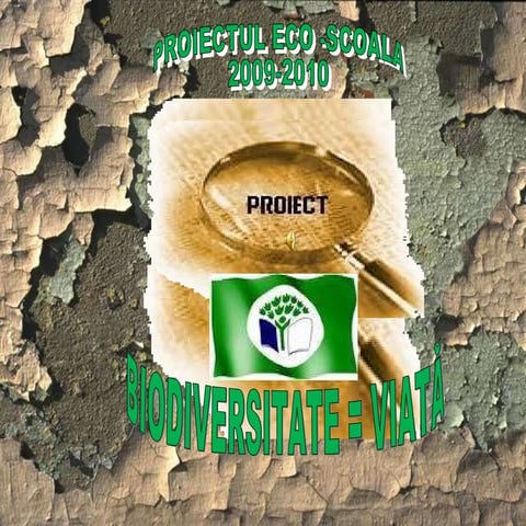 Proiect Eco Scoala | PPT
