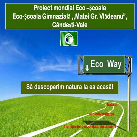 Proiect Eco Scoala | PPT