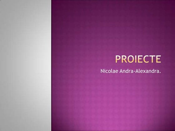 Proiecte | PPT