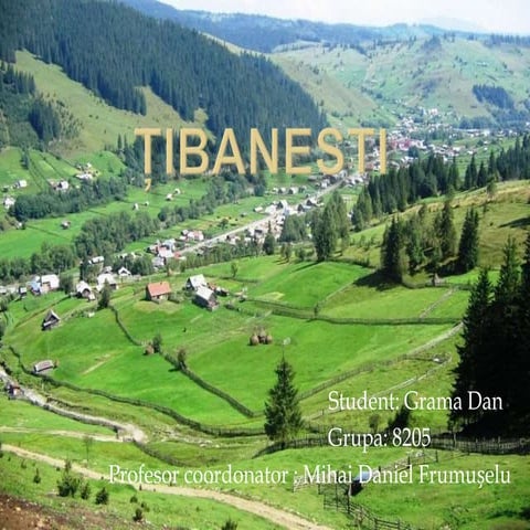 Proiect engleza 1 | PPTX