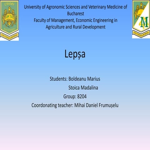 Proiect engleza | PPT