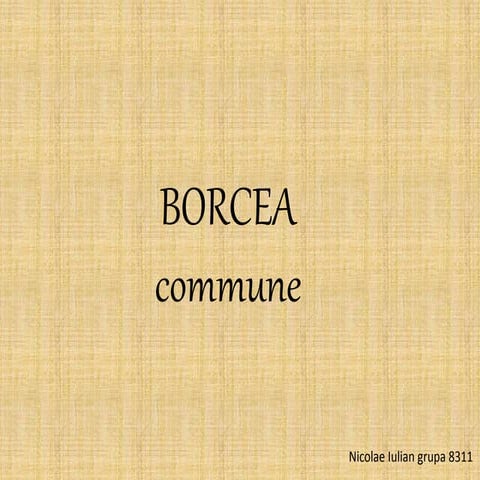 comuna borcea nicolae iulian | PPT