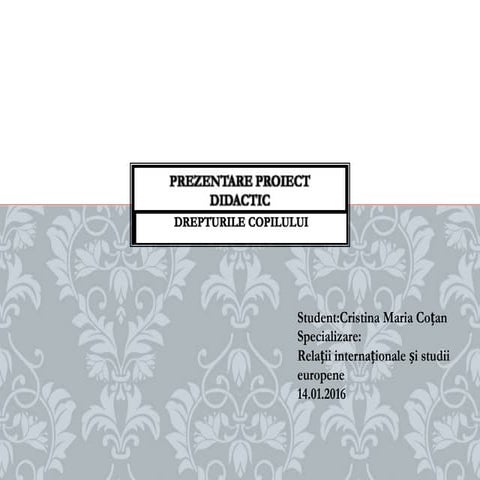 Studiu de caz - S.C. Kaufland SCS | PPTX