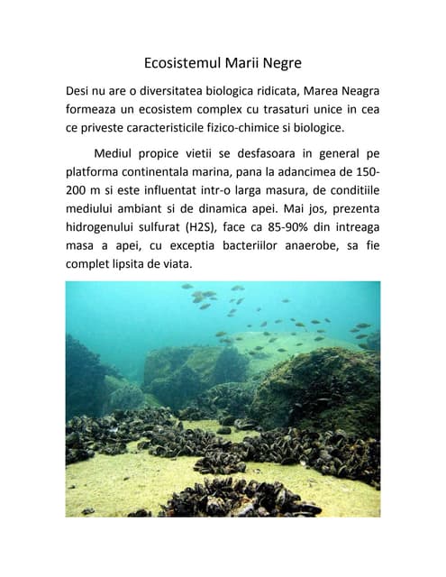 Ecosistemul Marii Negre | PPT