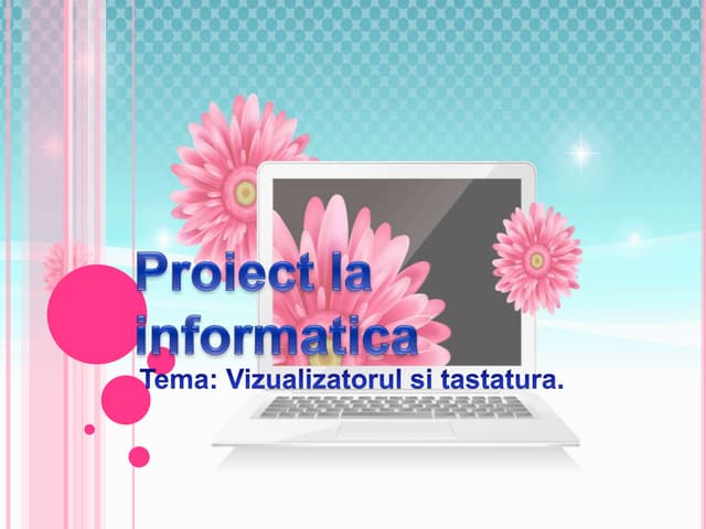 Structura calculatorului | PPS