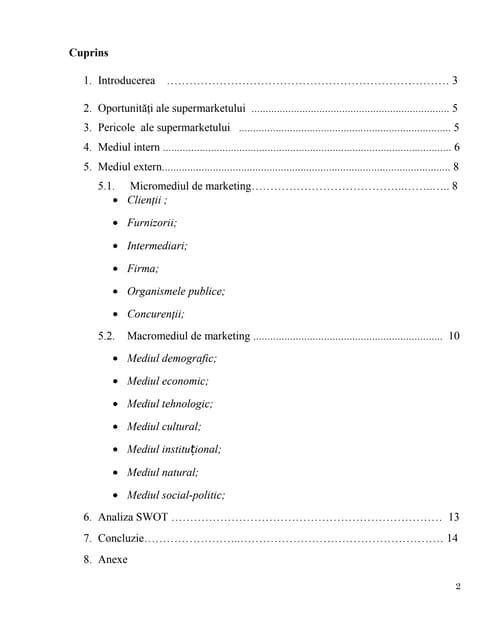 Plan de afaceri | PDF