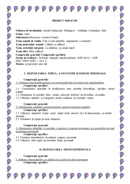 Programa scolara tic_9 | PDF