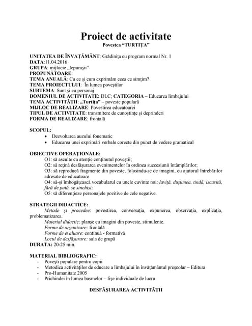 Proiect speciala 2013 | PDF