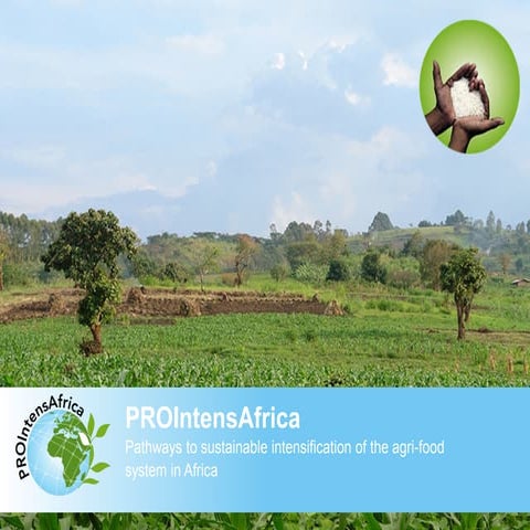 Remittances in Africa - Challenges and Opportunities | PPS
