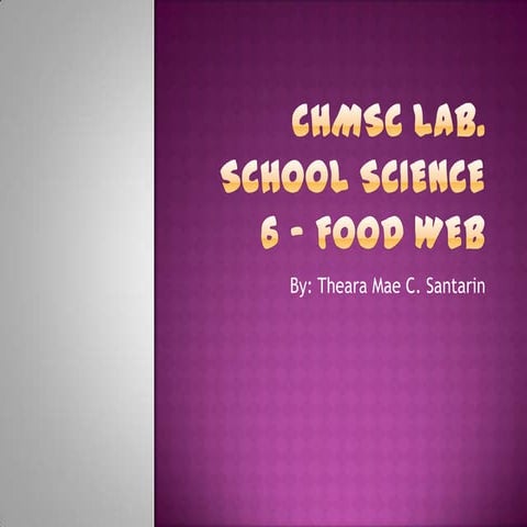 CHMSC Lab. School Science 6 - Food Web | PPTX | Reptiles | Pets
