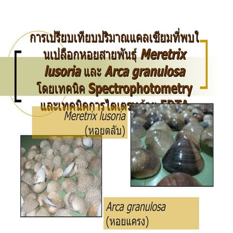 Formation of CPP/ACP | PDF