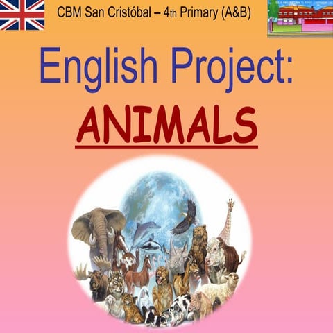 Project 1: Animals | PPT