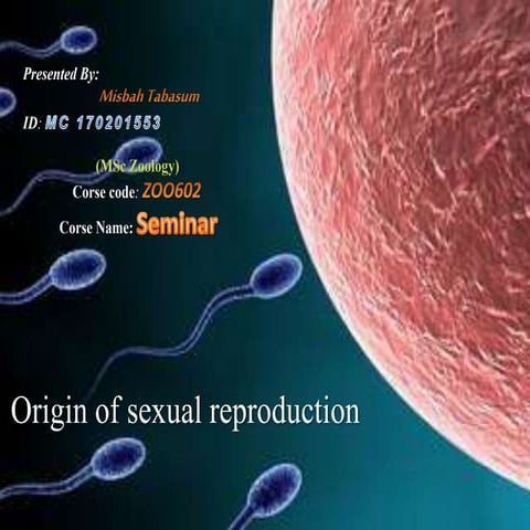 Sexual reproduction | PPTX