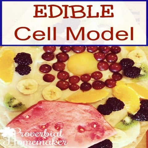 biology PROJECT making an edible cells ppt | PPT