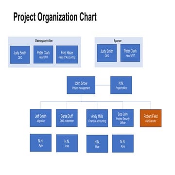 project-organization-chart.pptx