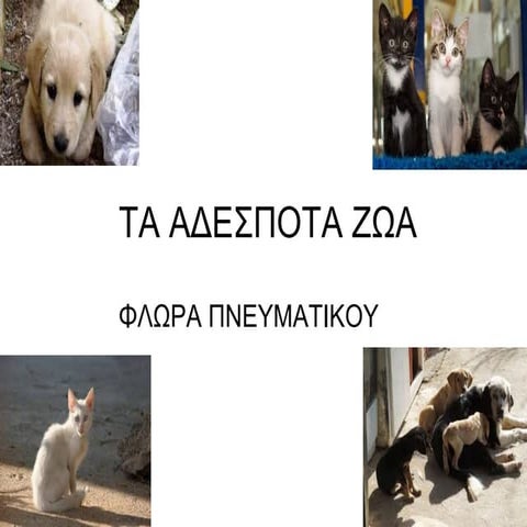 Project ta αδεσποτα ζωα | PPT