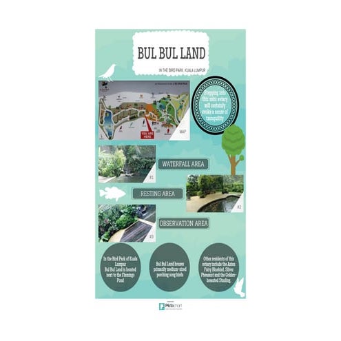 ENBE PROJECT 1 INFOGRAPHIC | PPT