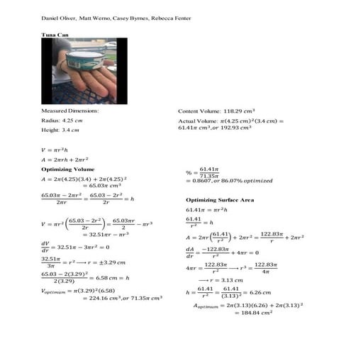 Calculus I Project Optimization Docx